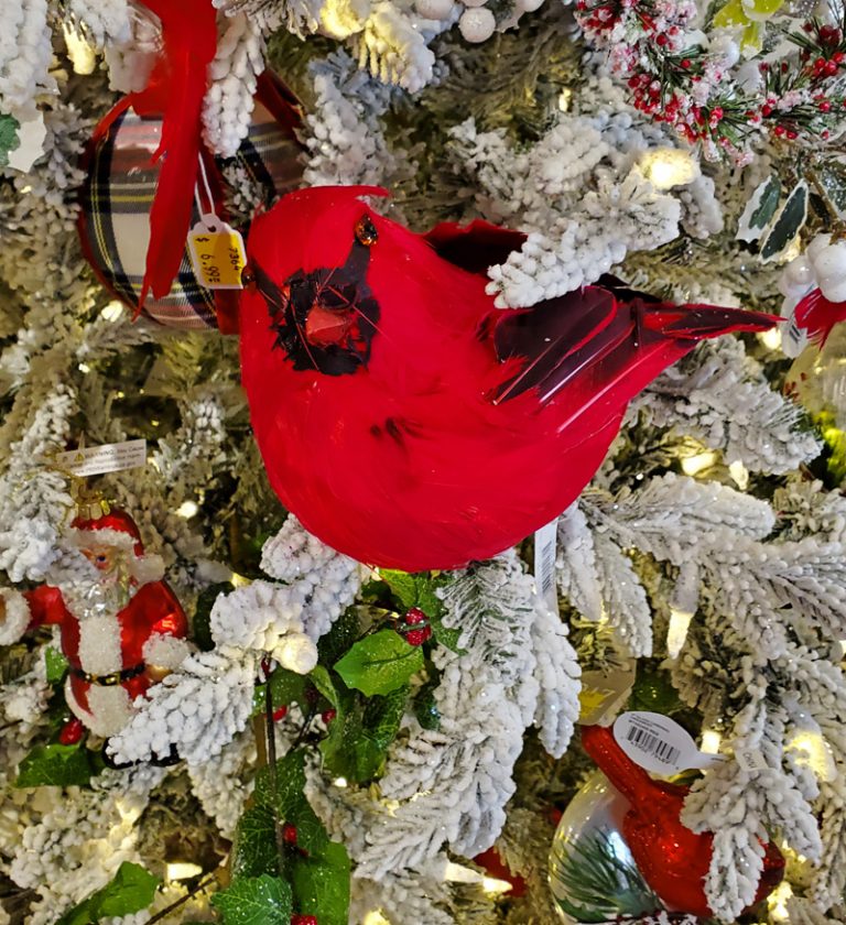 Fresh-Cut and Artificial Christmas Trees, Christmas Decorations and ...