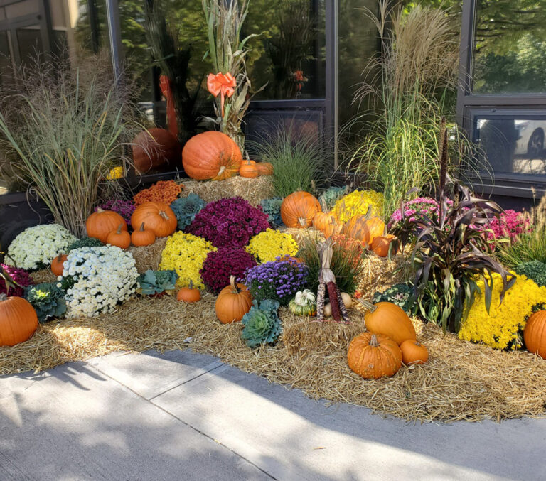Garden Center and Nursery – Down to Earth Living