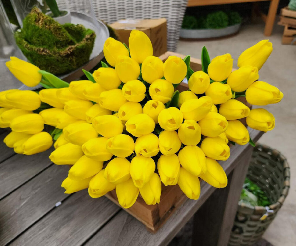 Award-Winning Home Decor – Down to Earth Living - Garden Center, Plant ...