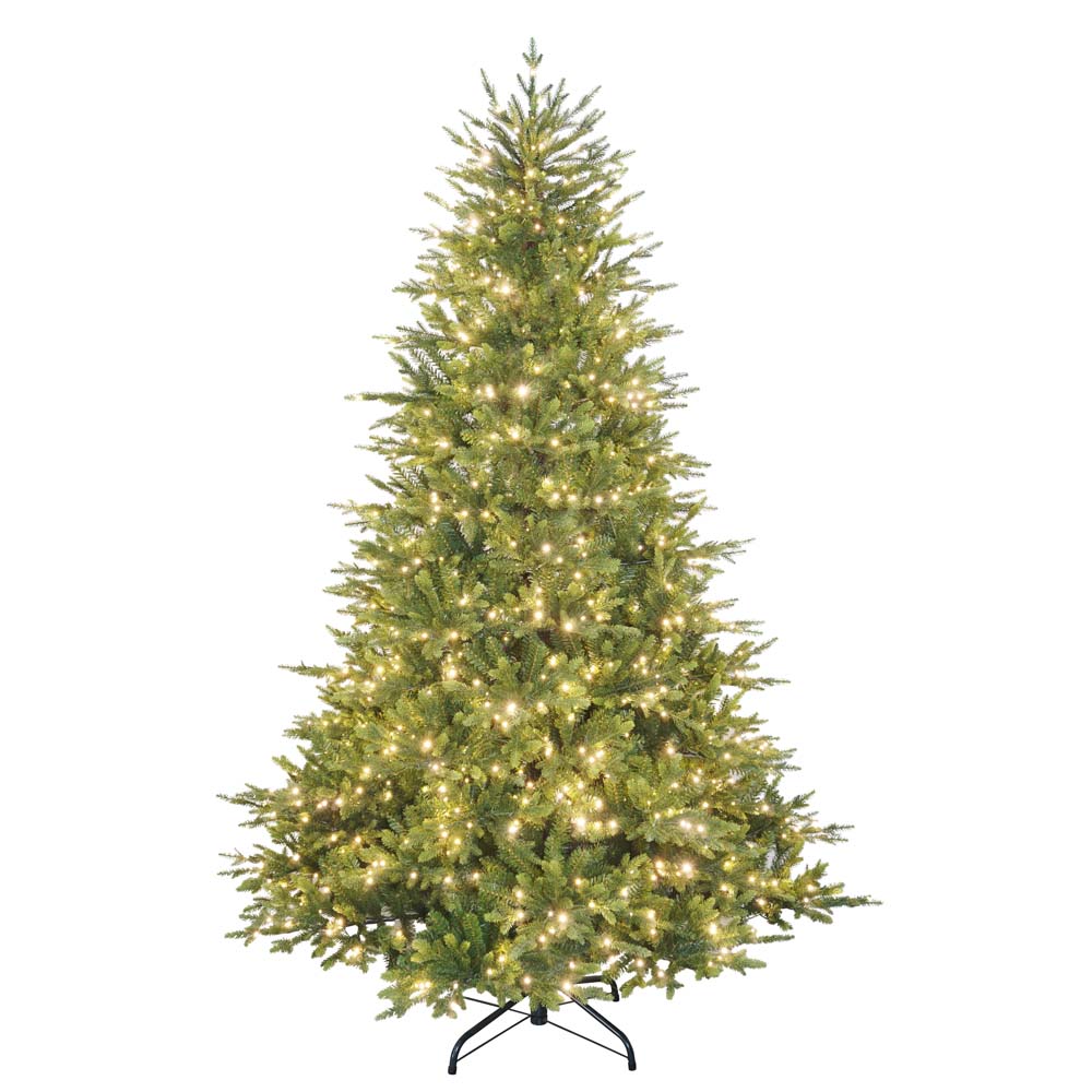 7.5' Acadia Tree – Down to Earth Living - Garden Center, Plant Nursery ...