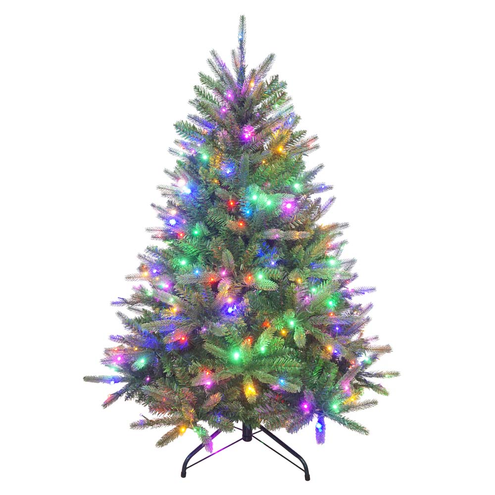 4.5' Kensington Fir – Down to Earth Living - Garden Center, Plant ...