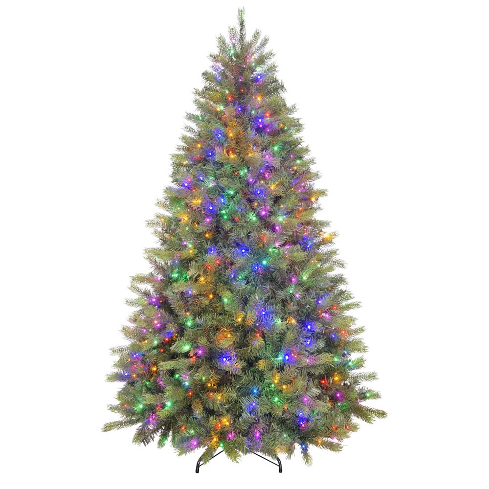 6.5' Kensington Fir – Down to Earth Living - Garden Center, Plant ...