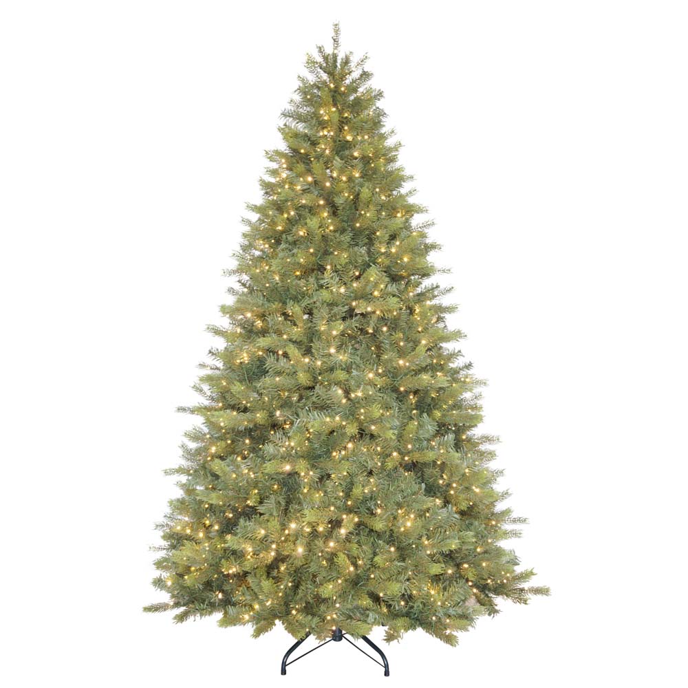 7.5' Kensington Fir – Down to Earth Living - Garden Center, Plant ...
